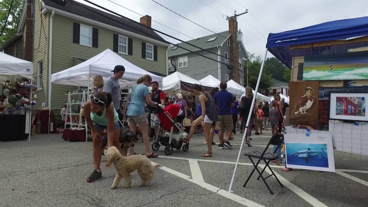 1-Year Old Mini Doodle, Nutella! Amazing Off Leash Doodle Video ...