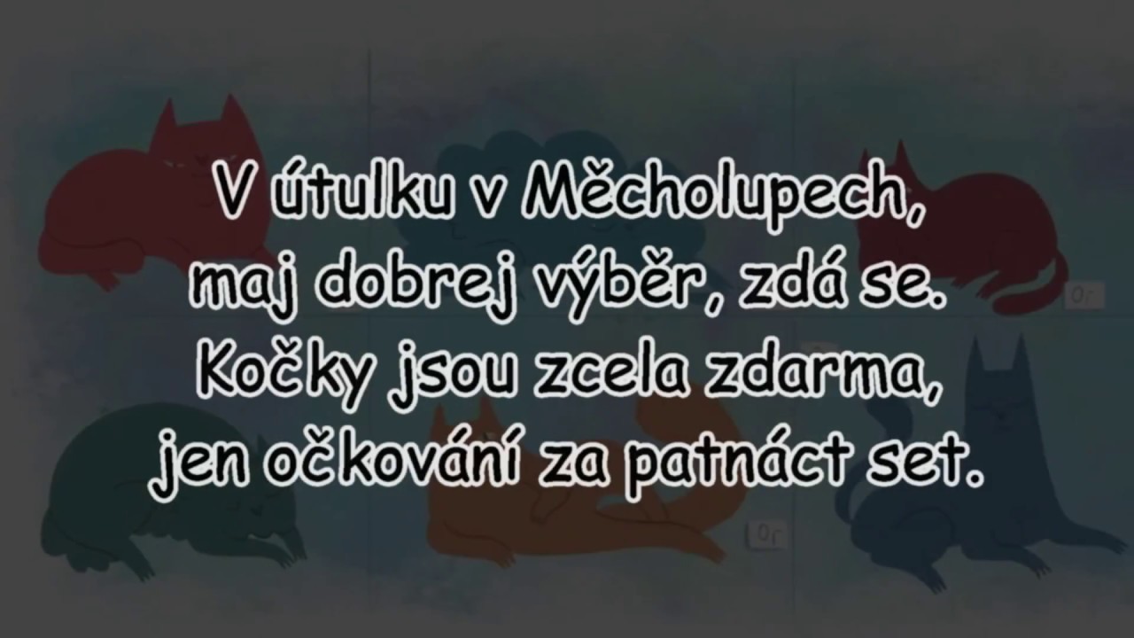Pokáč - Mám doma kočku | TEXT | Pavel Kozler Akkorde - Chordify