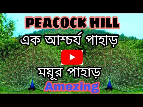 Mayur pahar | peacock hill |2019 amazing surprize hill| purulia | near ...