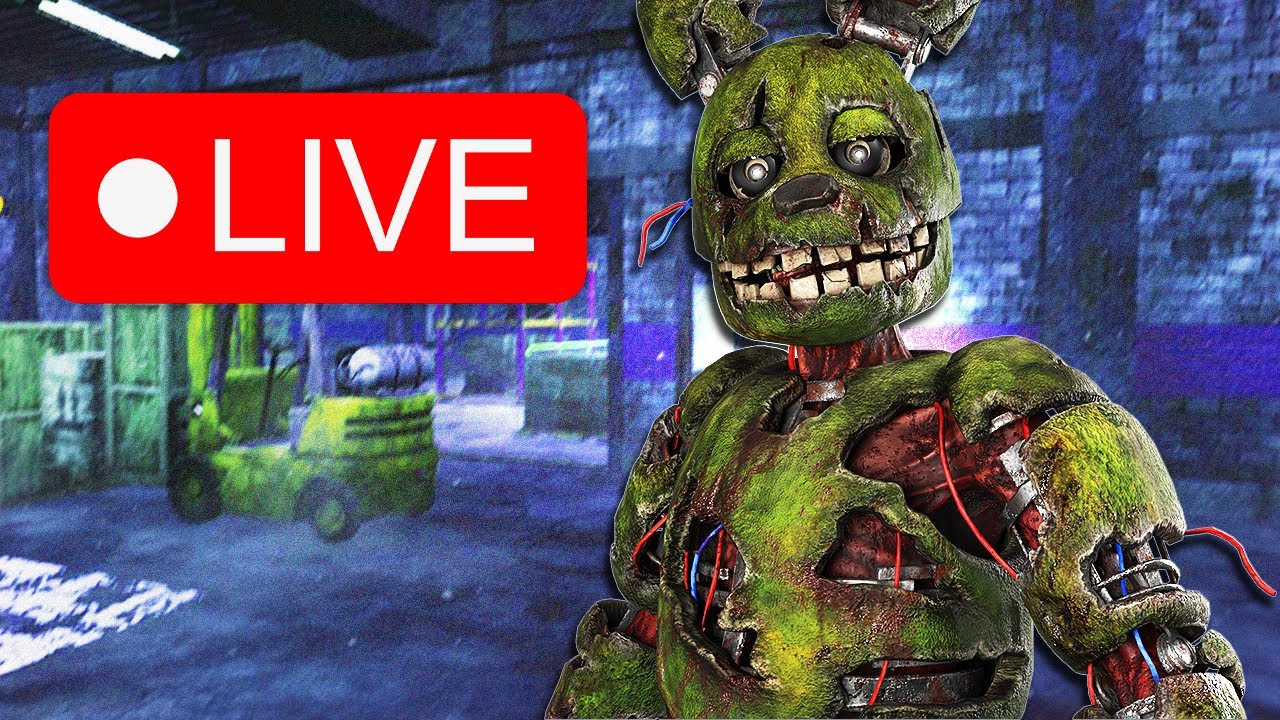 50+ DBD Win Streak Begins LIVE - YouTube