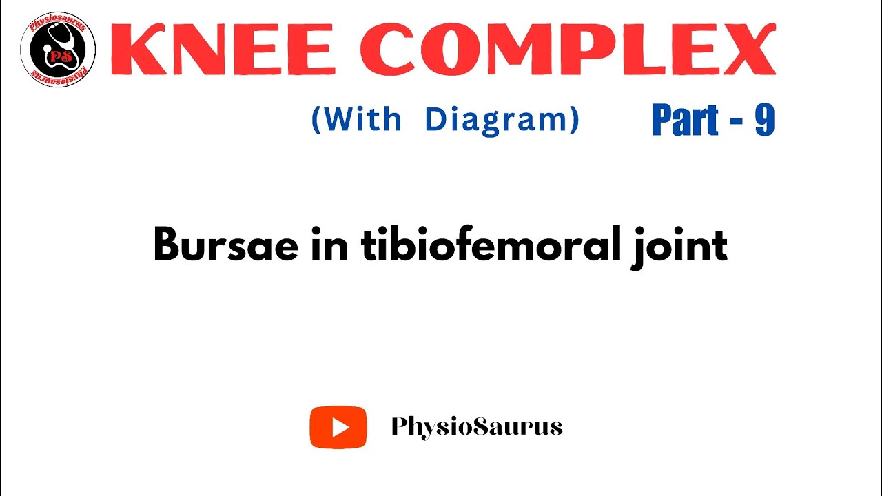 Bursae | Tibiofemoral joint structure | Knee complex | Bursitis - YouTube