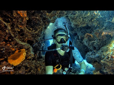 4K | Diving | Cancun, Mexico