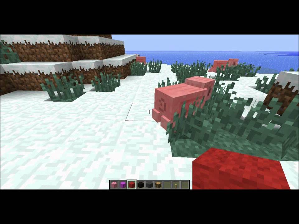 Minecraft Giant Pig Timelapse - YouTube