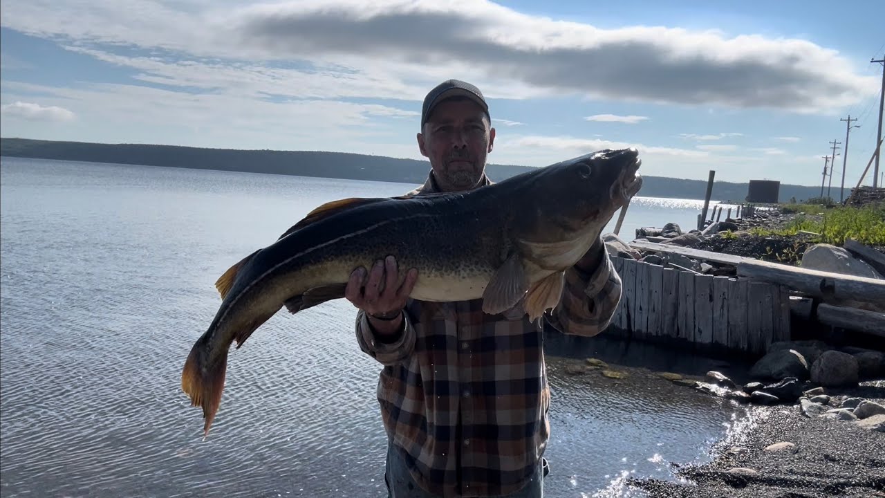 Cod fishing and prize giveaway details - YouTube