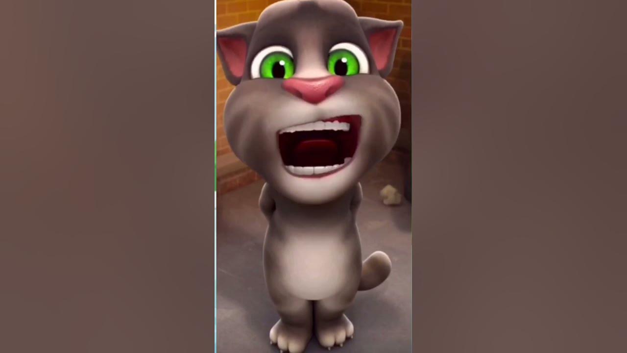 Gato Tom Cantando Dez Indiozinhos - Clipe Galinha Pintadinha DVD 1 - YouTube