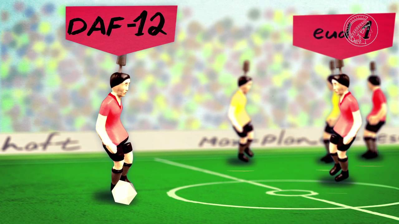 Evolution - key moments in evolution - YouTube