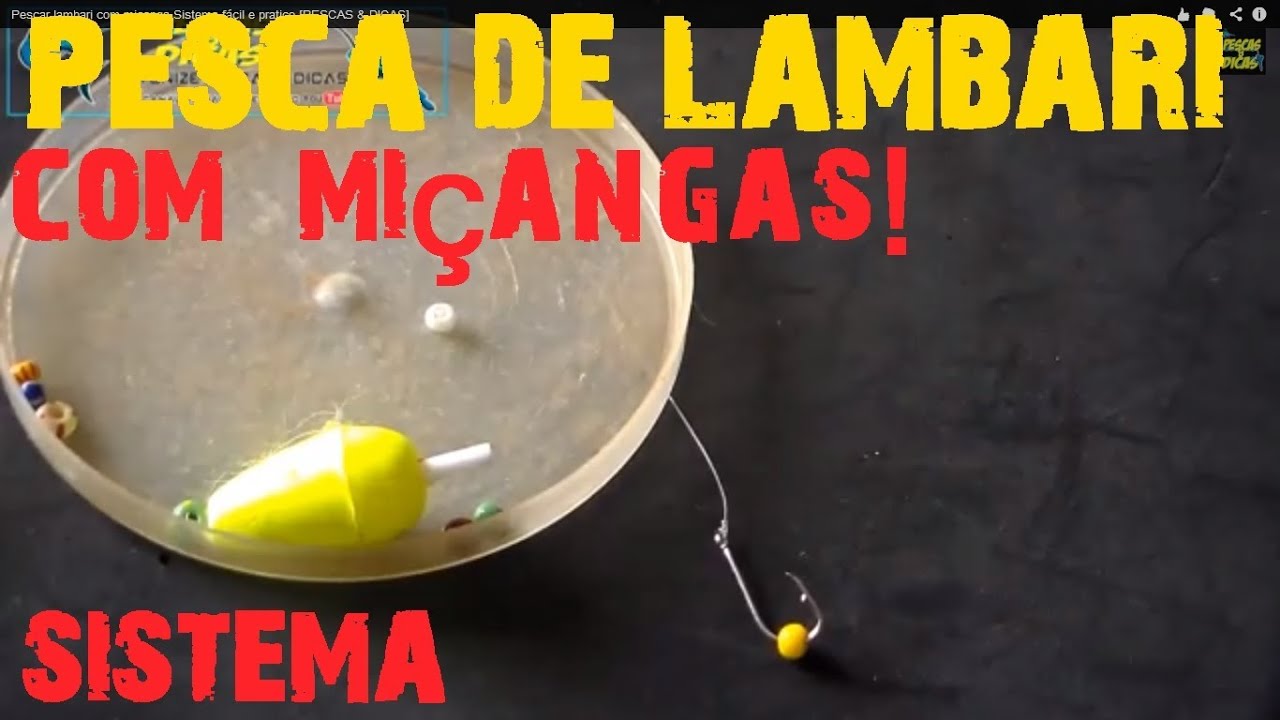 Pescar lambari com miçanga Sistema fácil e pratico [PESCAS & DICAS ...