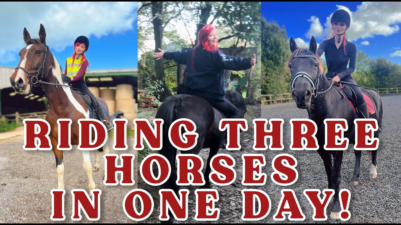 Riding Three Horses in One Day! - YouTube