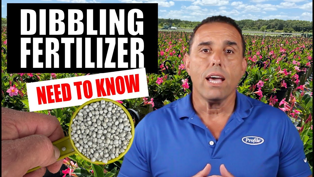 Dibbling Controlled Release Fertilizer - Watch Before Your Next ...