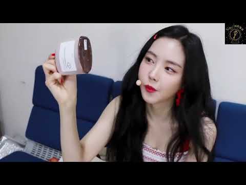 Apink  Mini Diary - \