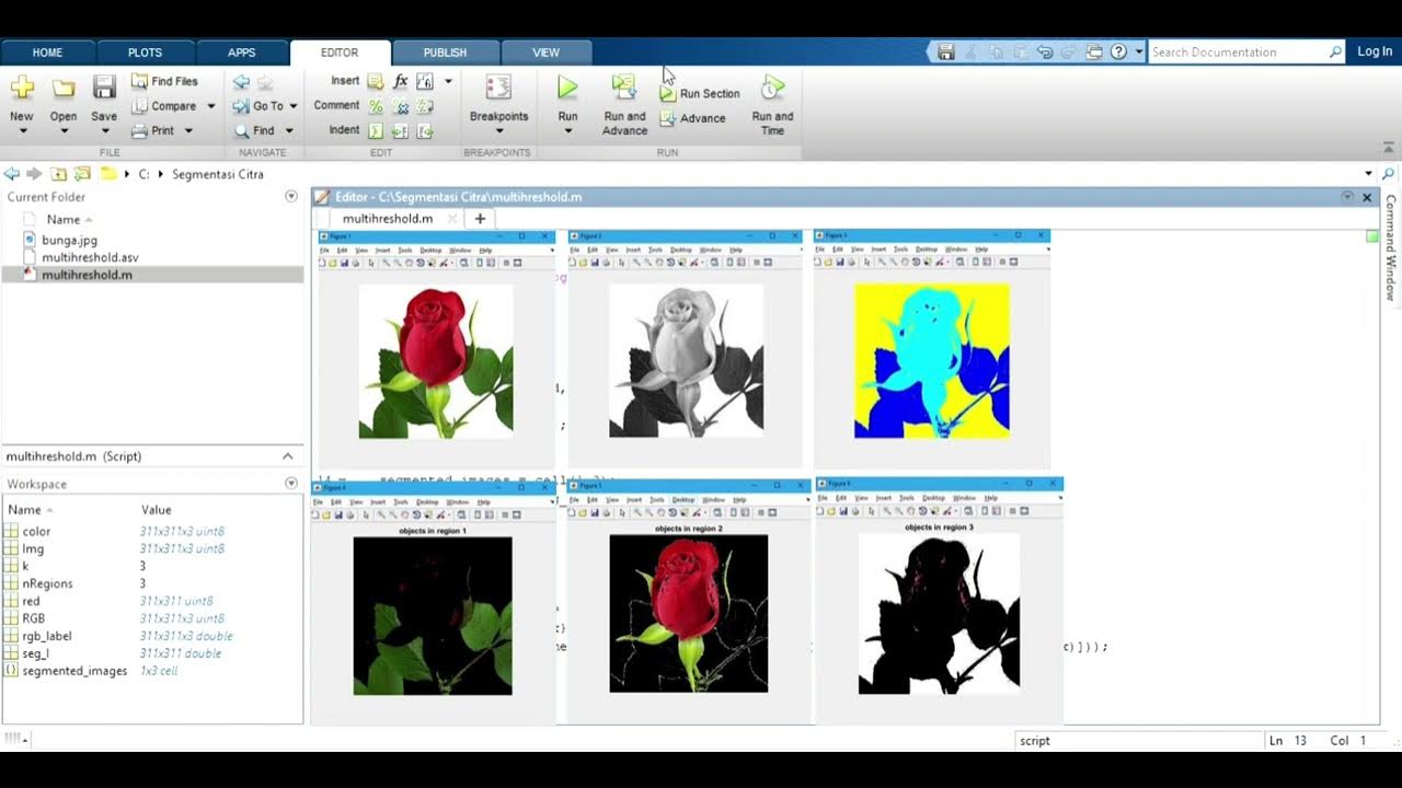 Image Segmentation Metode MultiThresholding dan K-Means | Digital Image ...