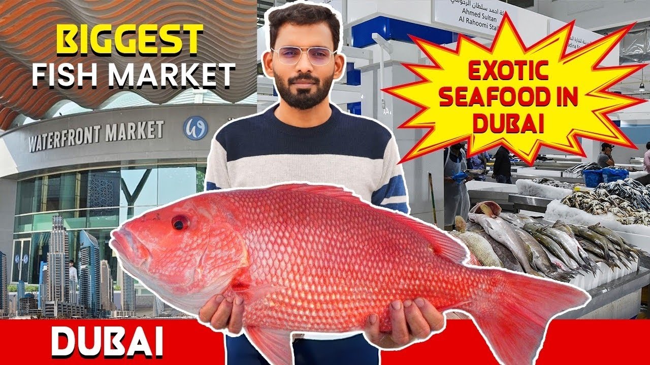 துபாய் மீன் 🐬மார்க்கெட்| Exploring Dubai Waterfront Fish Market🐟| Fresh ...
