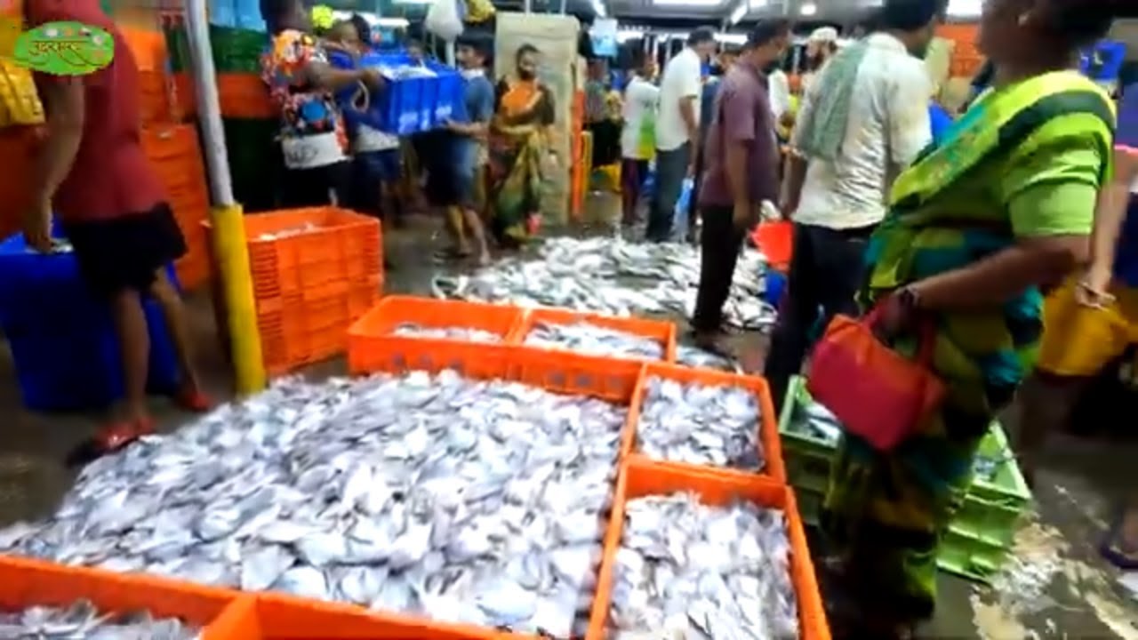 नायगाव मासळी बाजार | Naigaon Fish Market After Lockdown | Biggest ...