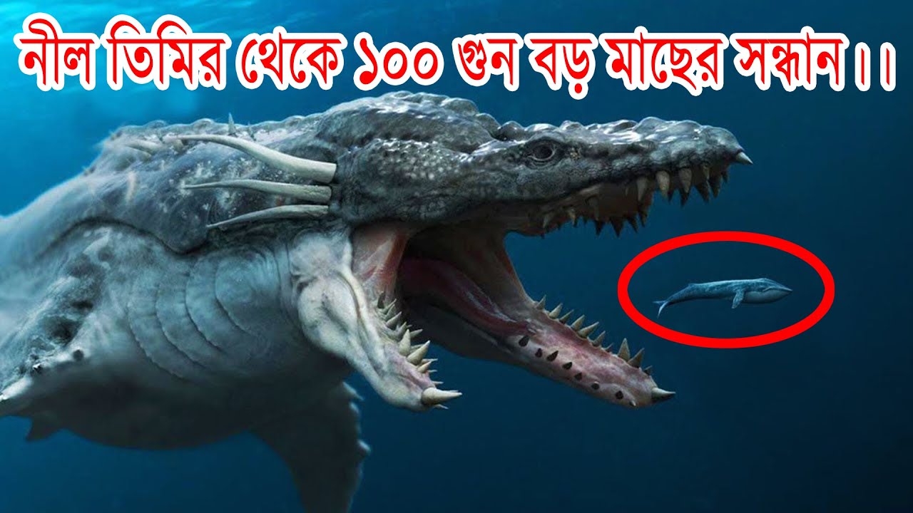 ২০২৩সালে মারিয়ানায় তিমির থেকে বড় দানব মাছের সন্ধান পেল বিজ্ঞানীরা ...