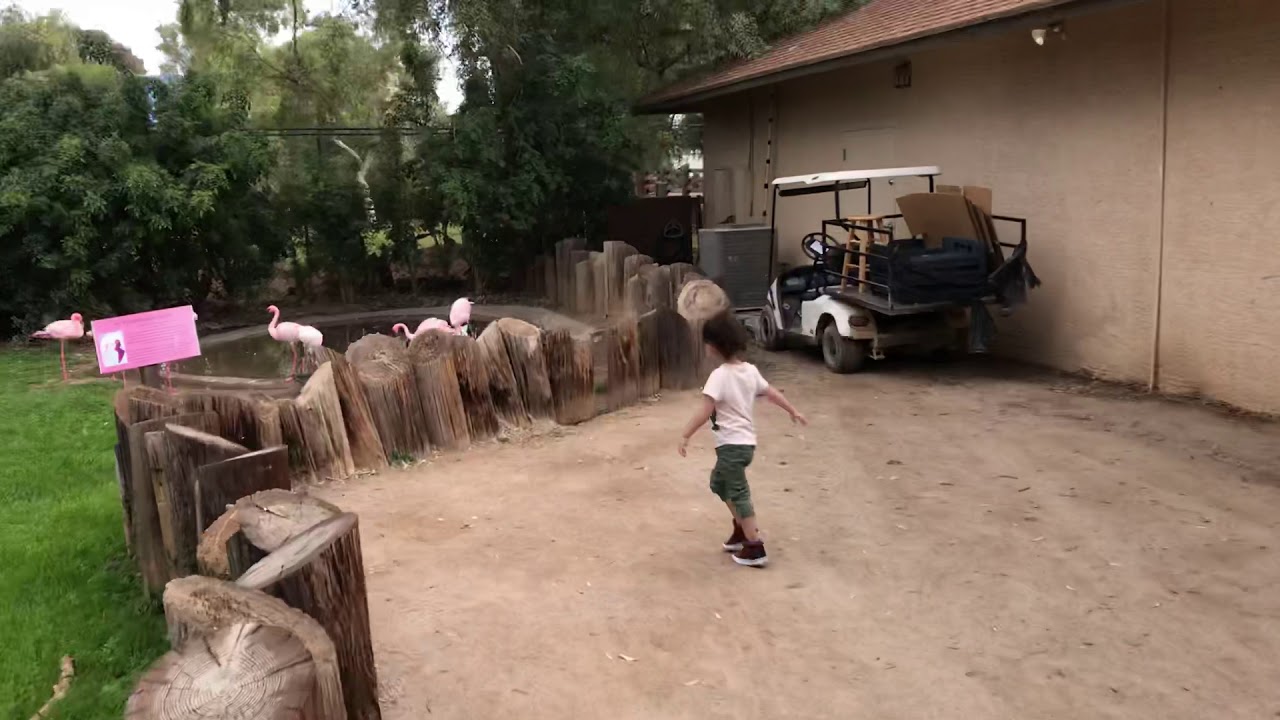 Sammi visits Wildlife World Zoo & Aquarium in Goodyear (March 6th, 2019 ...