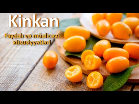 KİNKAN- faydalı və müalicəvi xüsusiyyətləri