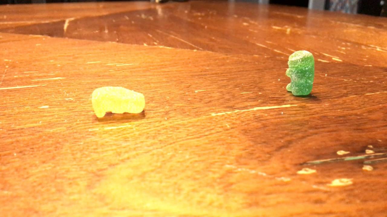 Gummy bear fight 2 ( thanks for 100 subs! - YouTube