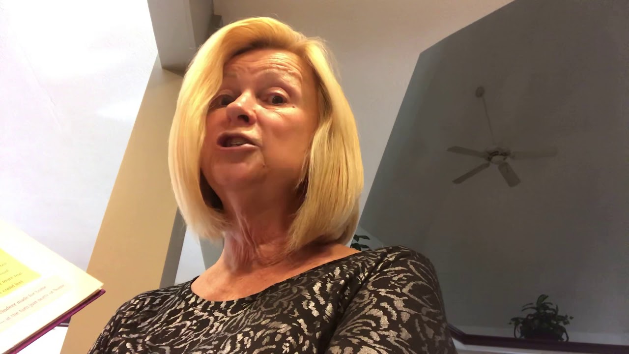 Peef the Christmas Bear - YouTube