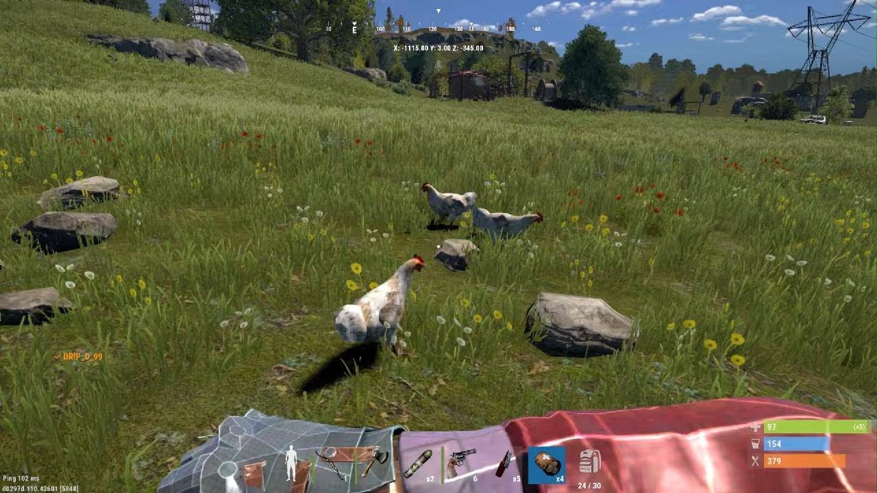 Rust- Chicken Bomb - YouTube