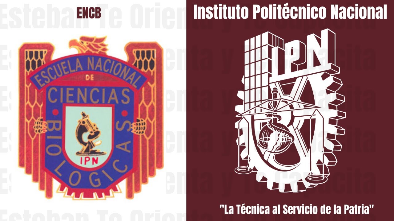 OFERTA EDUCATIVA IPN ENCB PARTE 2 - YouTube
