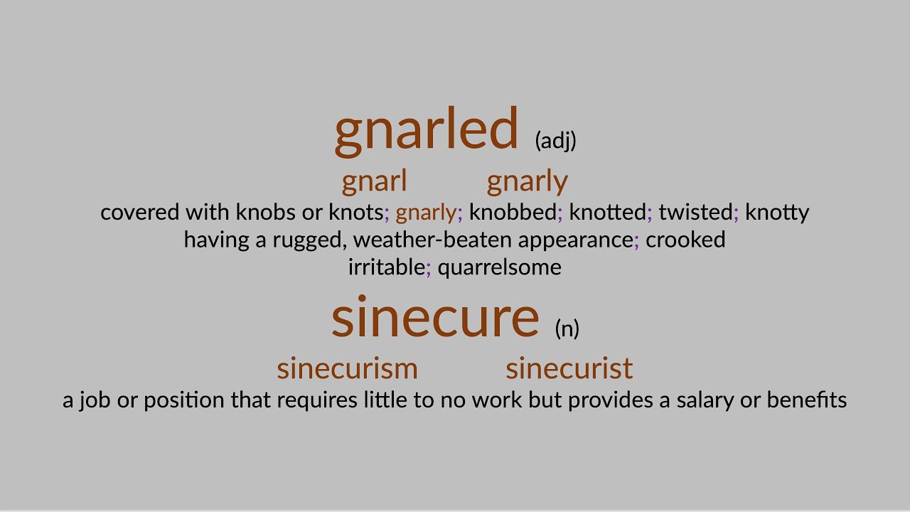 gnarled & sinecure - YouTube