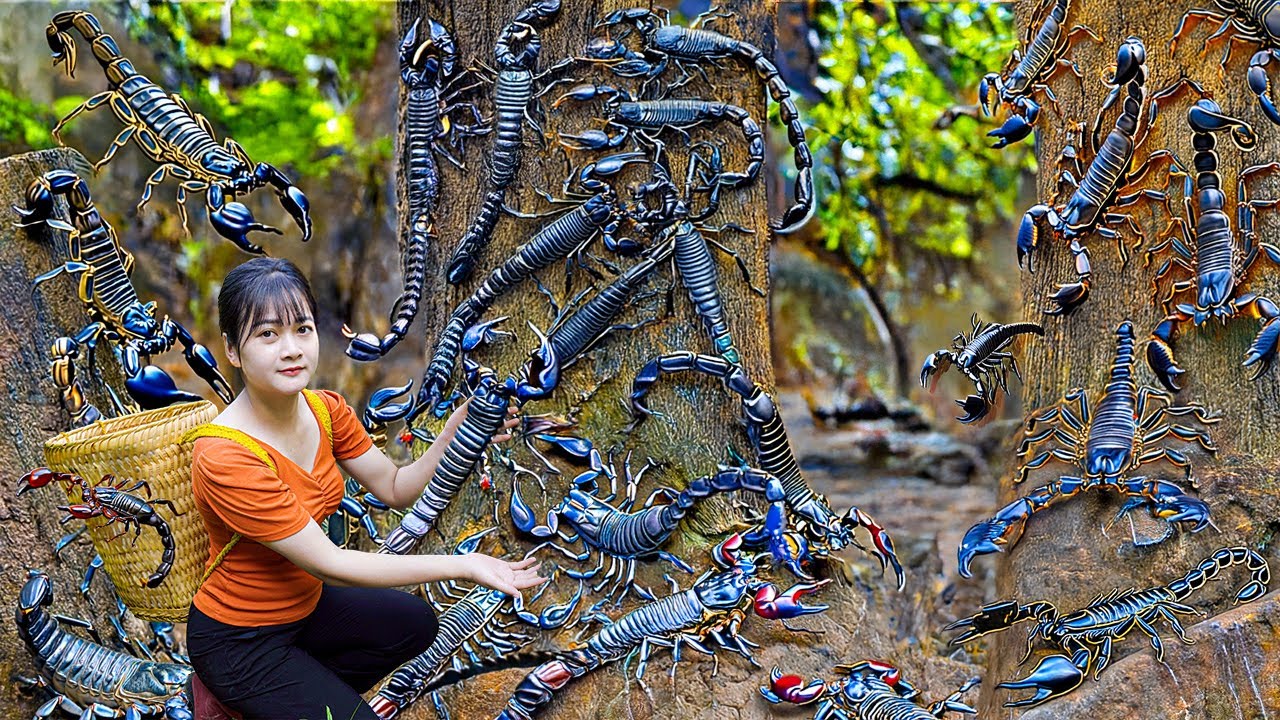 Harvesting Giant Primitive Scorpion Larvae By Hand To Sell | How To ...