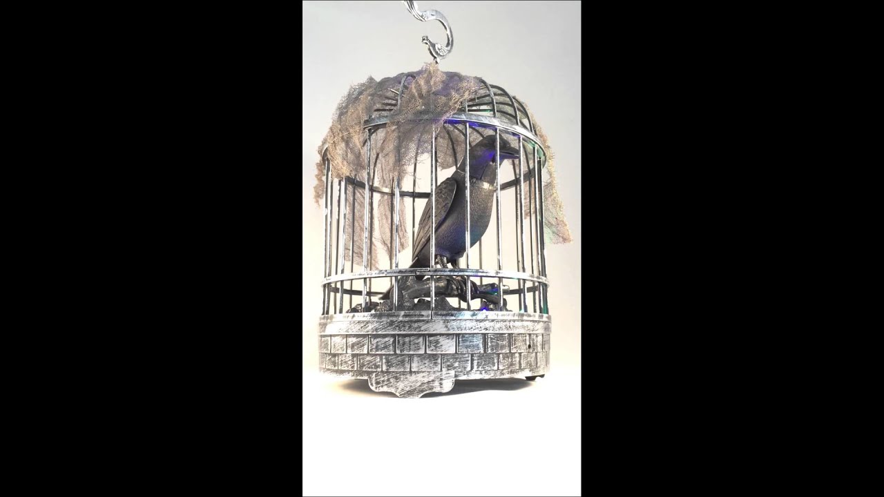 Sinny's Stuff Animated Raven Crow in Cage on eBay - YouTube