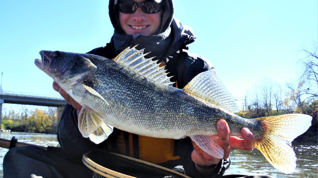 Indiana Kayak Fishing: Best of Fall Walleyes and Saugeyes 2014 - YouTube
