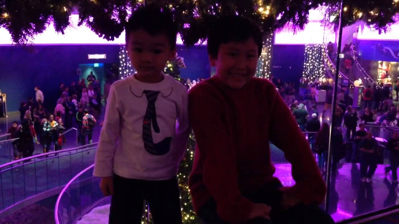 Jacob and Ayden at the aquarium - YouTube