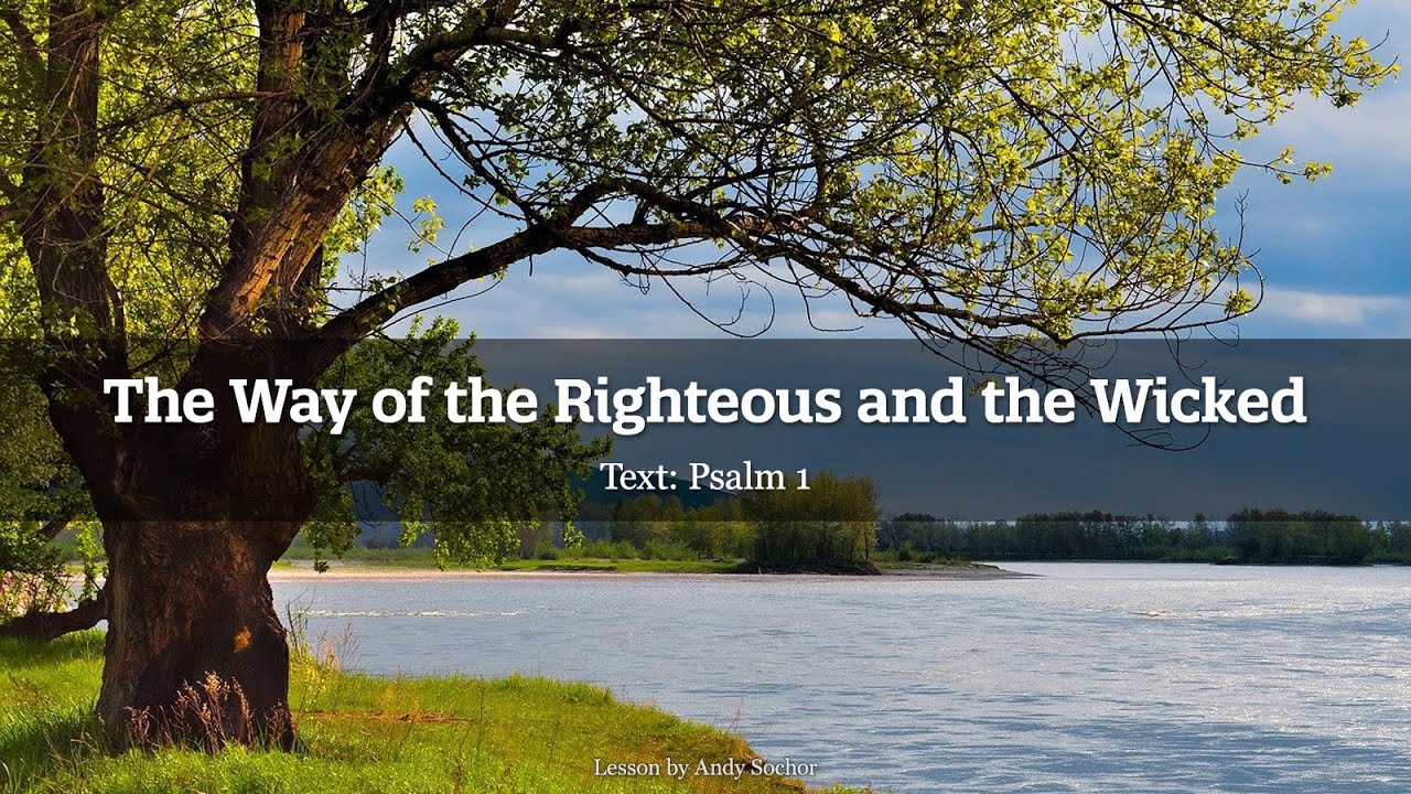 The Way of the Righteous and the Wicked - YouTube