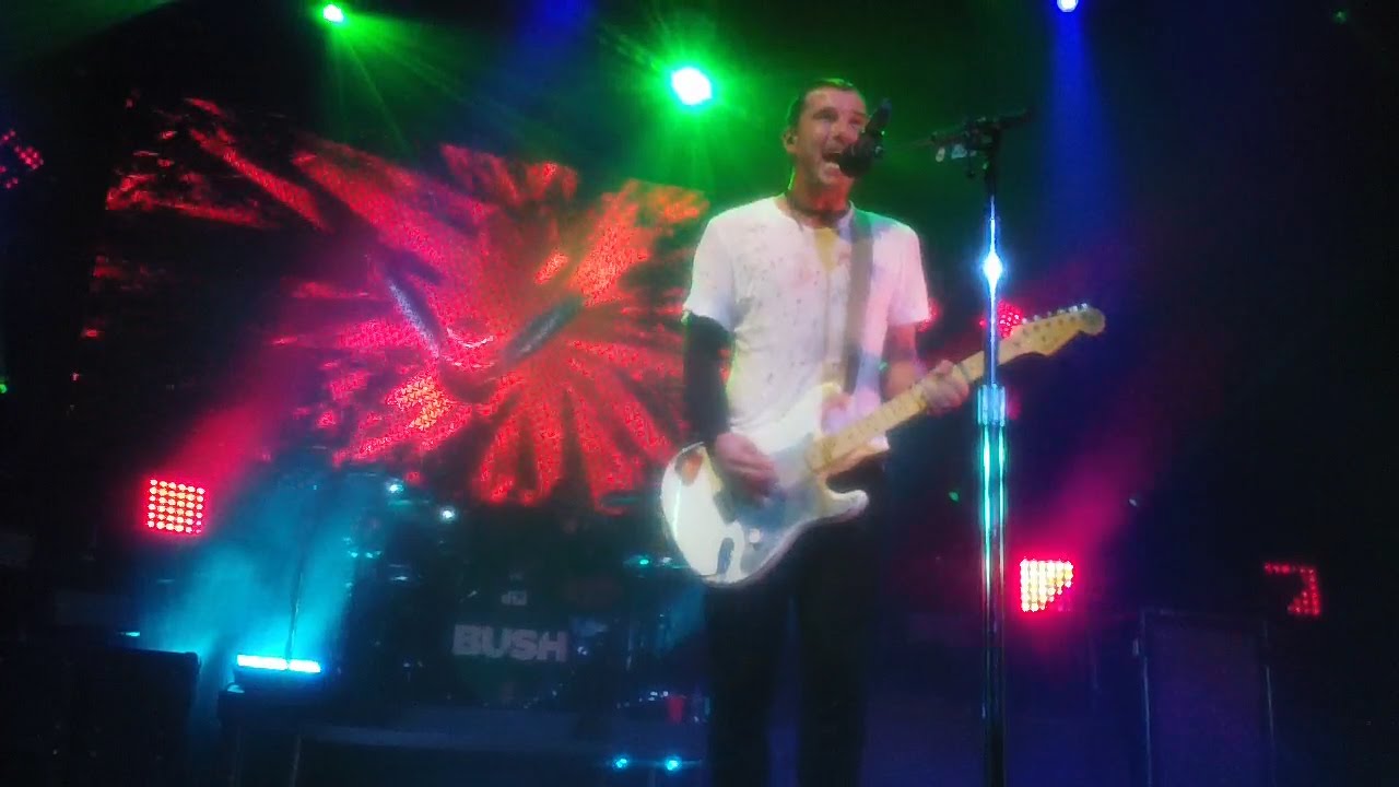 Bush - Greedy Fly - Live in San Francisco - YouTube