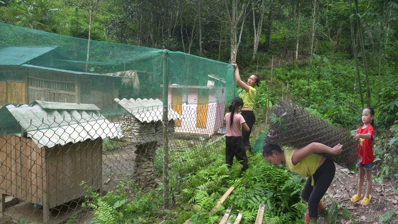 19 Year Old Single Mother Build iron fences and nets - Building farm ...