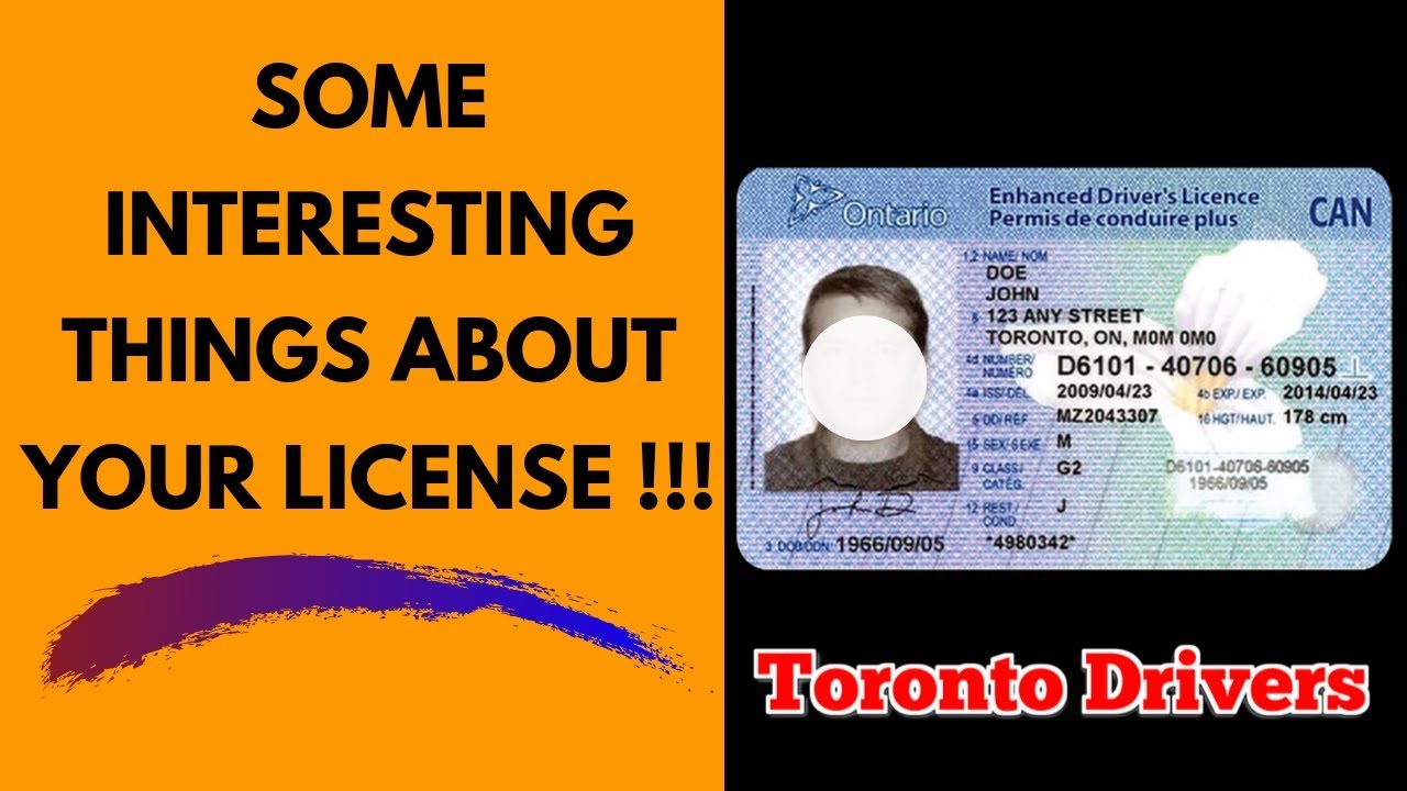 Interesting FACTS about Your Driver's License || TORONTO DRIVERS - YouTube