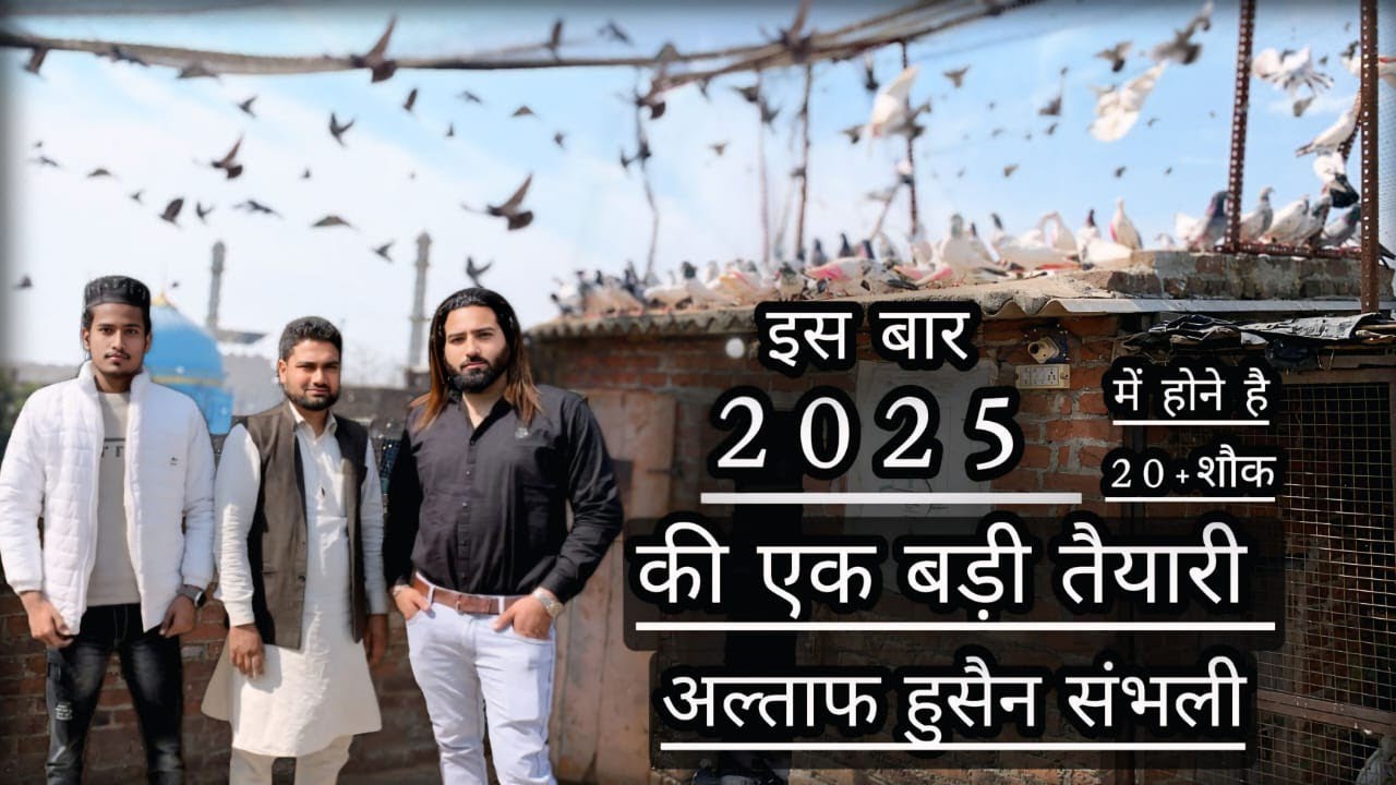 2025 Ki Ek Badi Tayyari Sambal Ke Mashoor Kabutar Parwar Mr. Altaaf ...