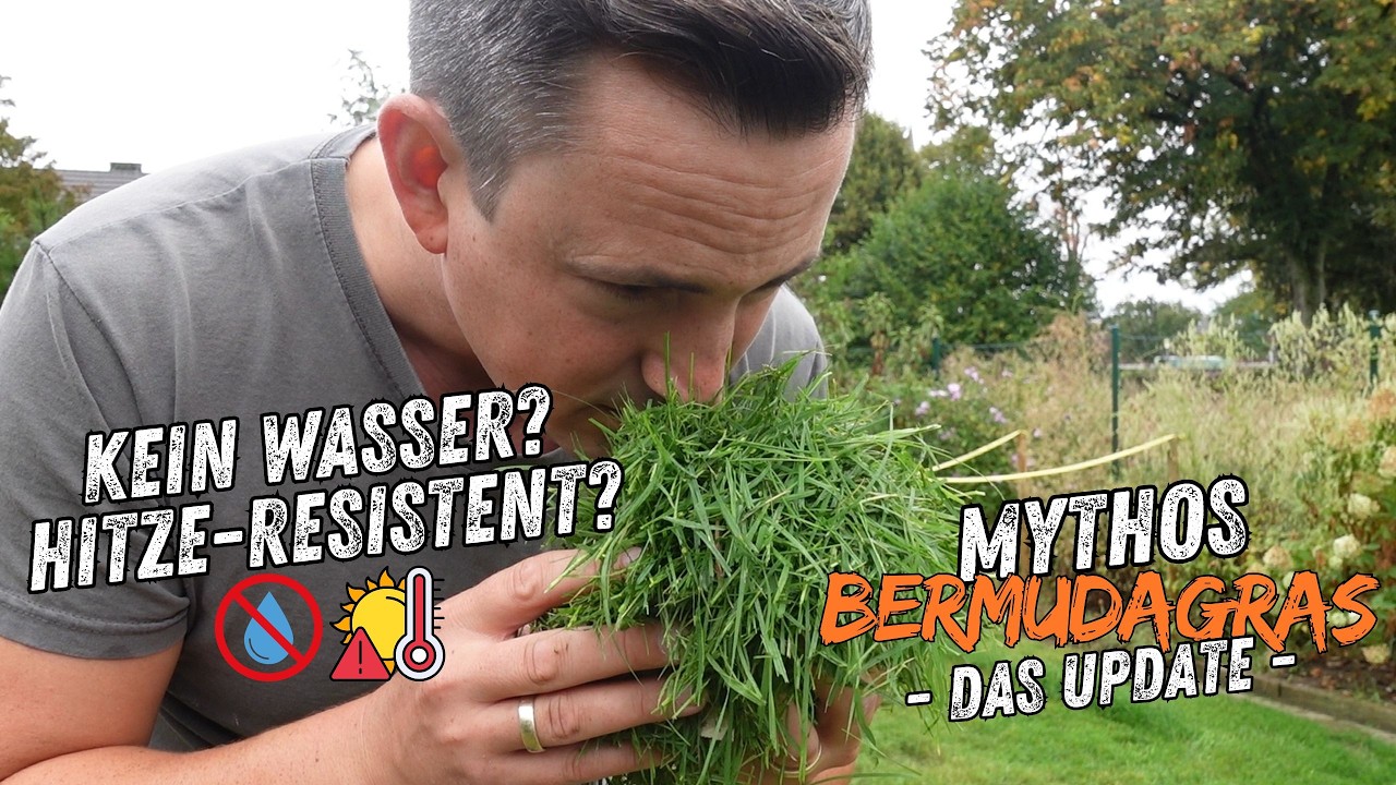 Update zum Bermudagras | wie gut ist es wirklich? - YouTube