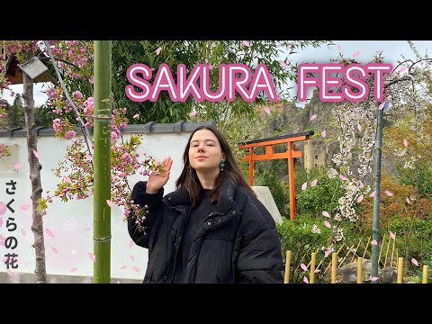 Japanese festival in the botanical garden (Tbilisi, Georgia) 🇬🇪 🌸