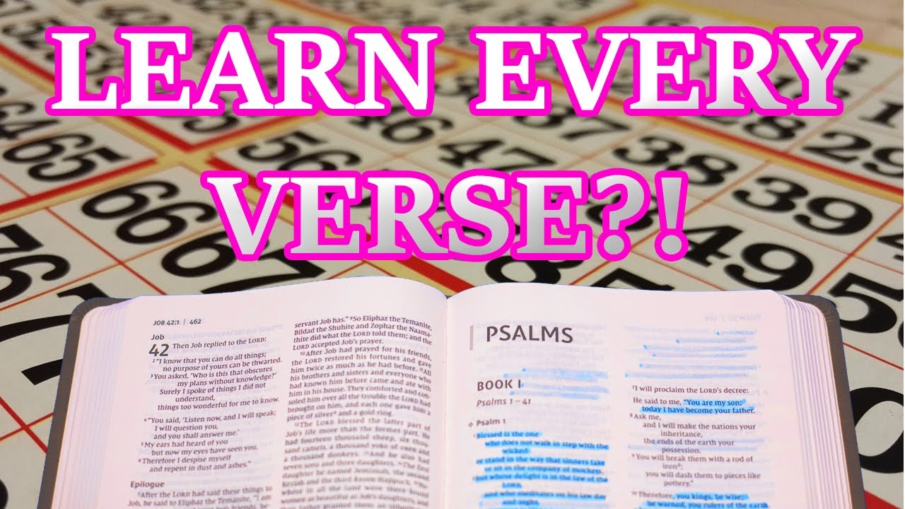 How to Qualify for the National Bible Bee Competition (Ep. #6): The ...