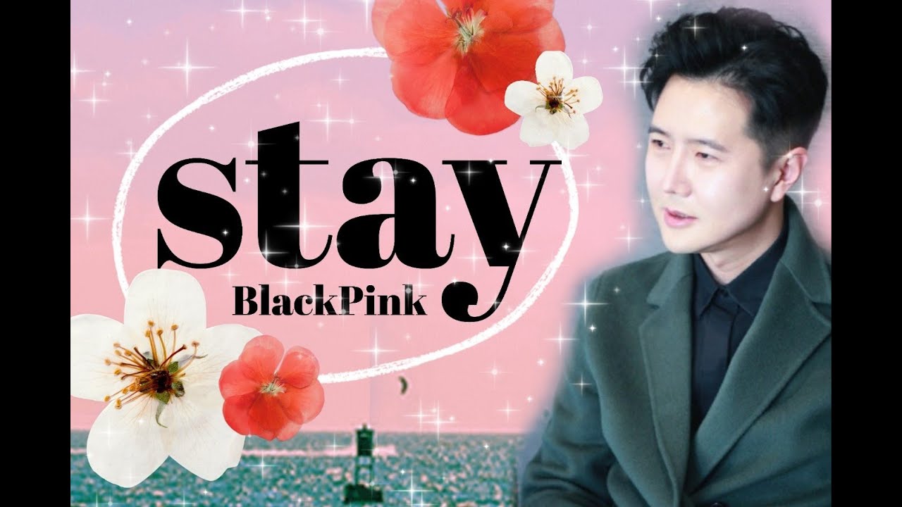 블랙핑크 - Stay Cover | DIMENSION - YouTube