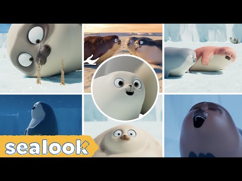 1M Sub Special🏆Who’s Your Favorite Seal?ㅣSEALOOKㅣEpisode Compilation ...