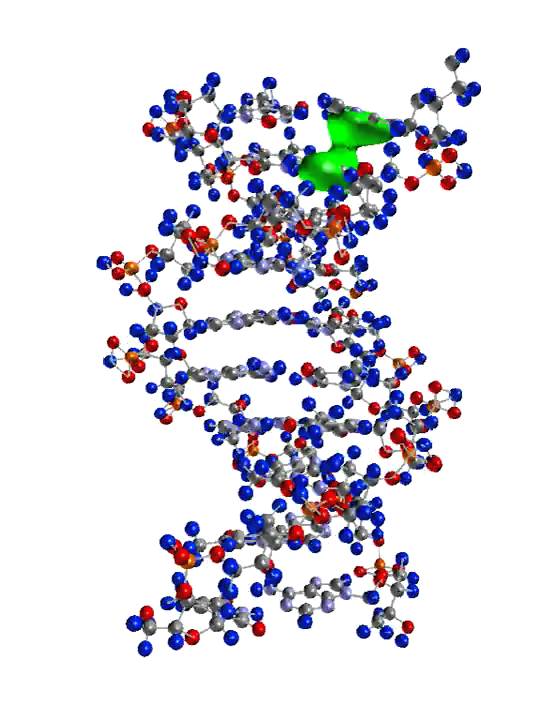 DNA Quantum Molecular Dynamics - YouTube