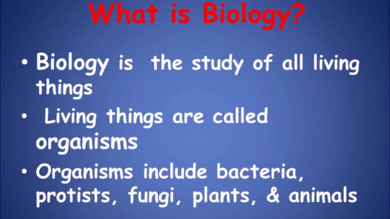 Definition Of Biology YouTube