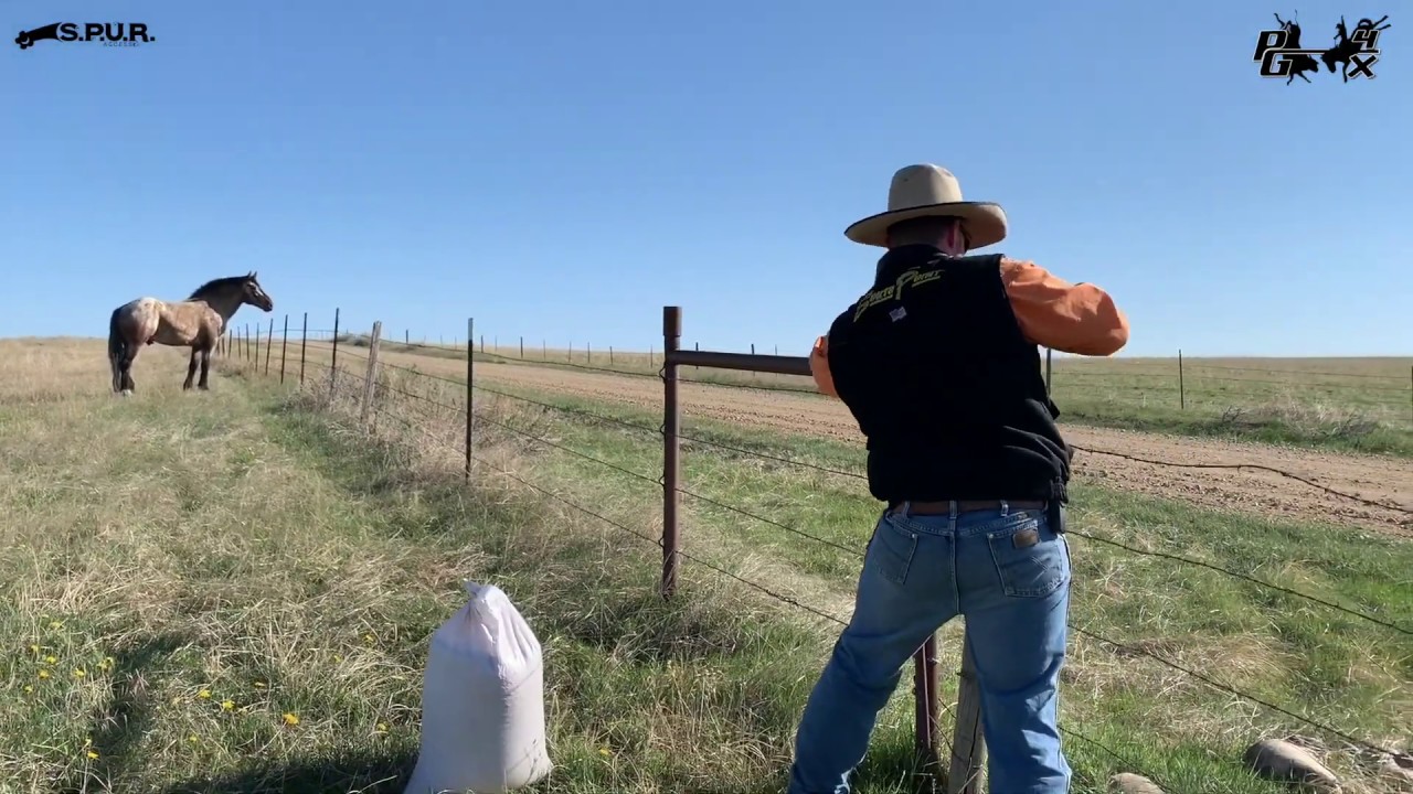 A day of ranch work 2020 - YouTube