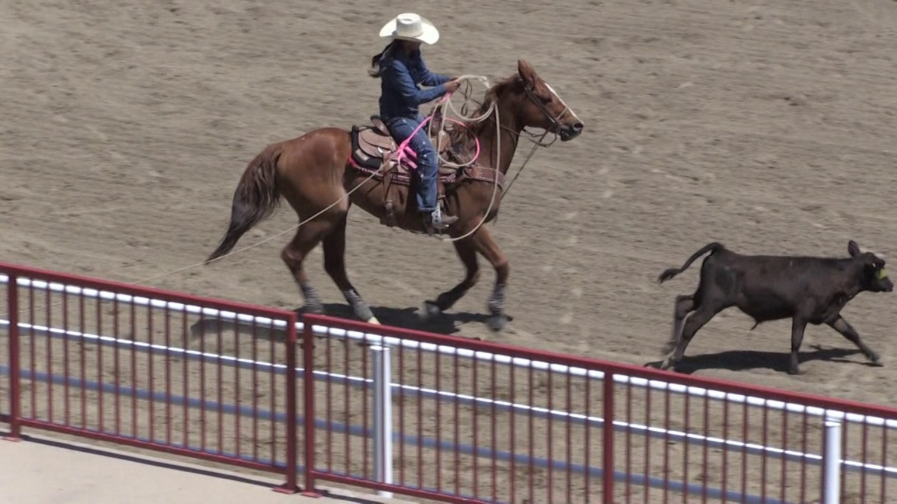 2017, Breakaway Roping, Rocky Mountain Regional Rodeo - YouTube