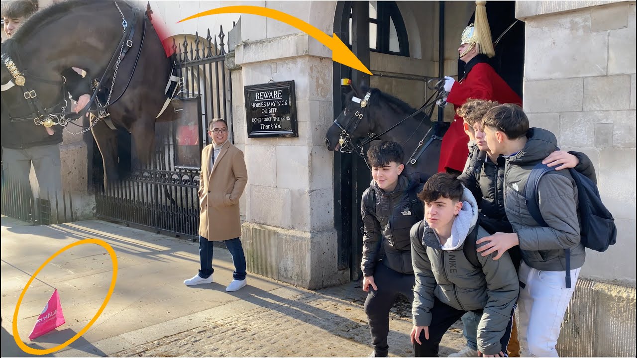 POOR HORSE!! Stupid Tour Guide DID This!! - YouTube