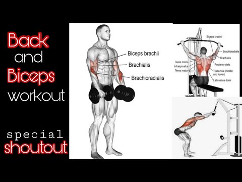 Back and Biceps Workout - YouTube