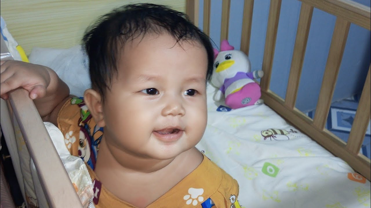 Burmese Baby and Burmese Snap - YouTube