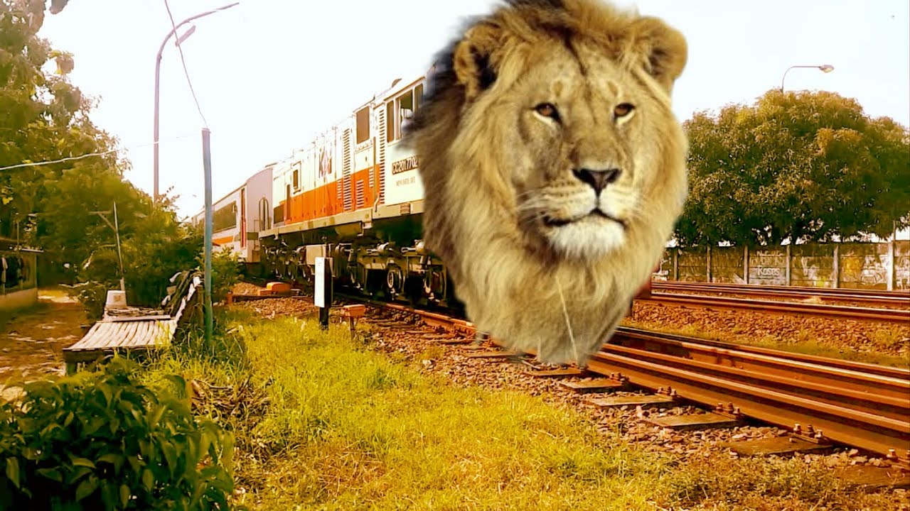 Train Transforms into a Lion's Head Guys - YouTube