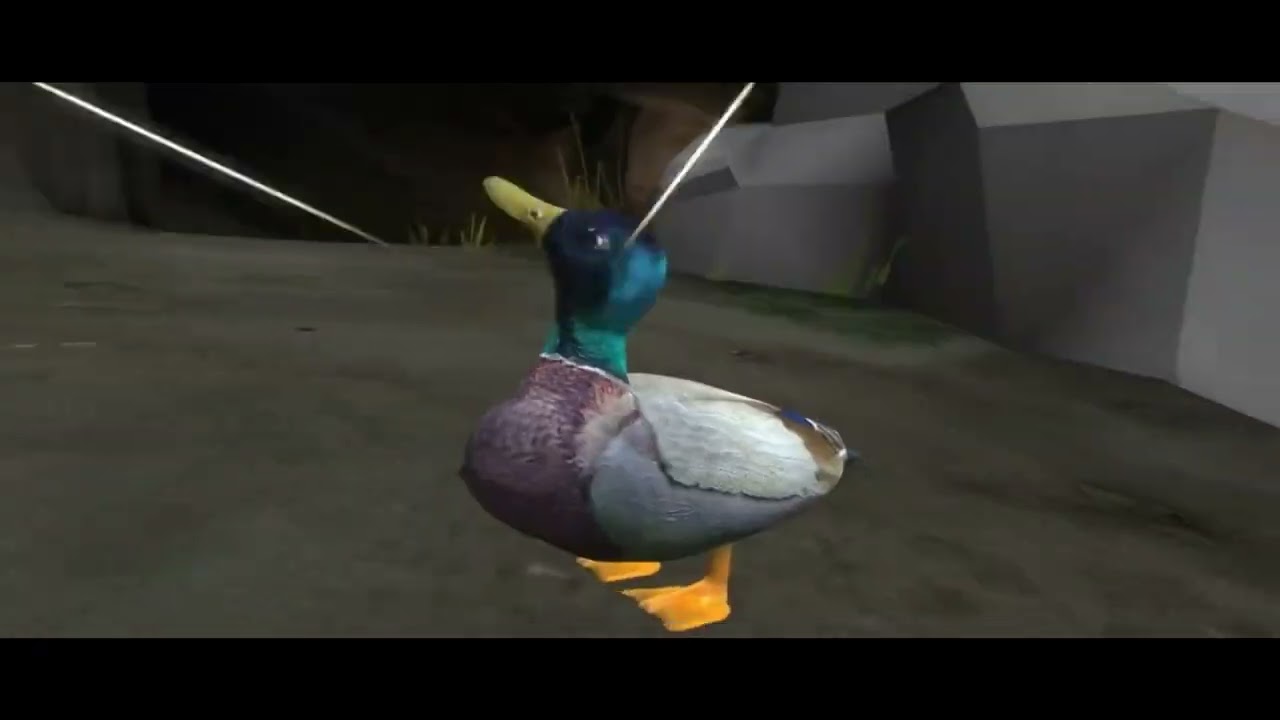 THE EPICNESS OF DUCK EXE HAS STOPPED WORKING - YouTube