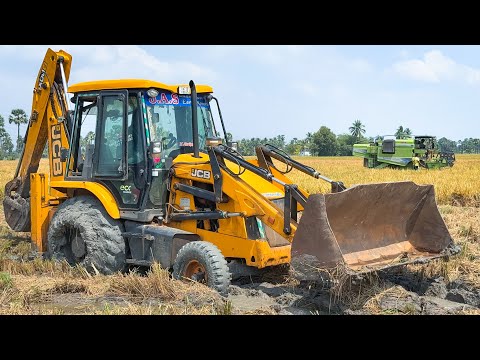 JCB 3DX Pulling out a Kartar Harvester Stuck in Mud the Middle Paddy field | Jcb video