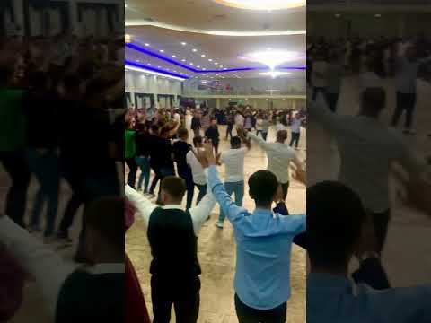 Muhteşem Düğün Töreni 🌹 #düğün #eğlence #kiziltepe_mardin #halay #gelindamat #music #keşfet